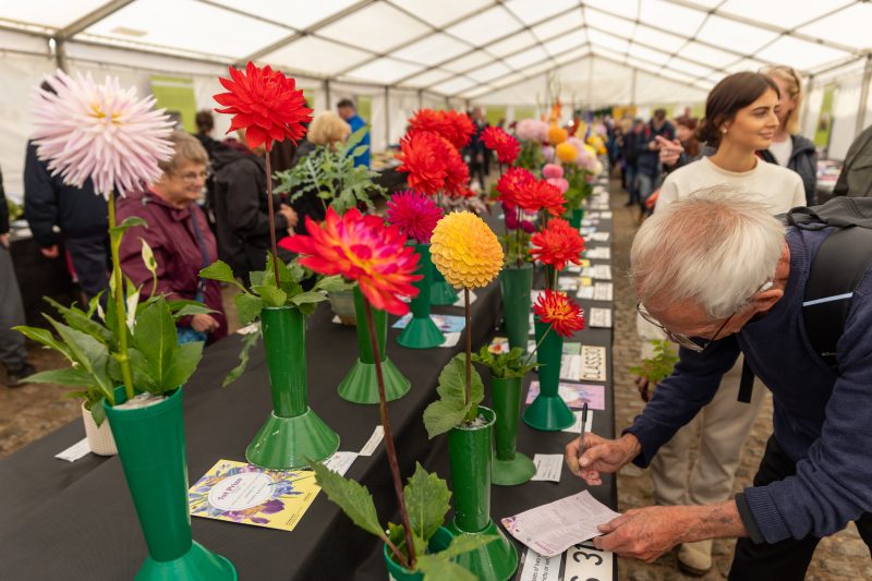 2023 Knowsley Flower Show - Knowsley Flower Show
